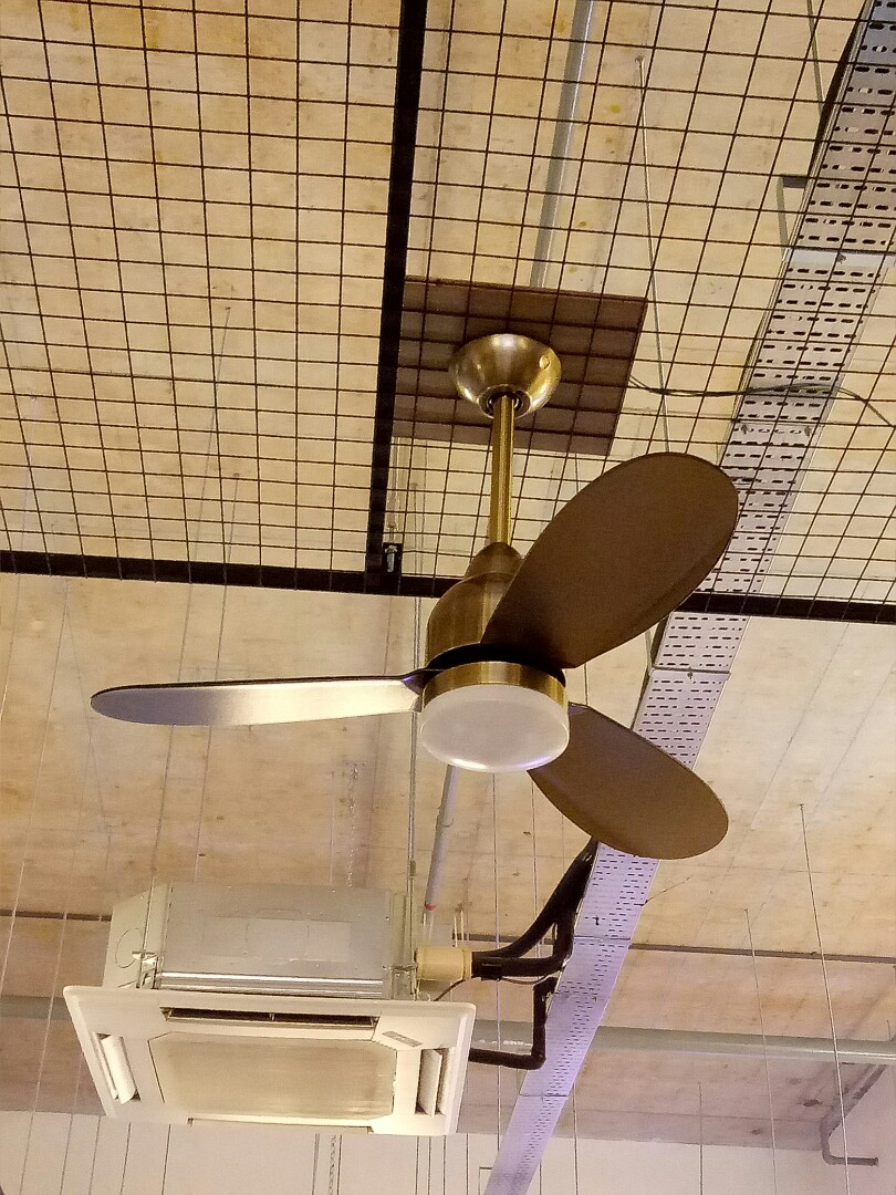 Amasco Reviti 38" Ceiling fan, Furniture & Home Living, Lighting & Fans ...