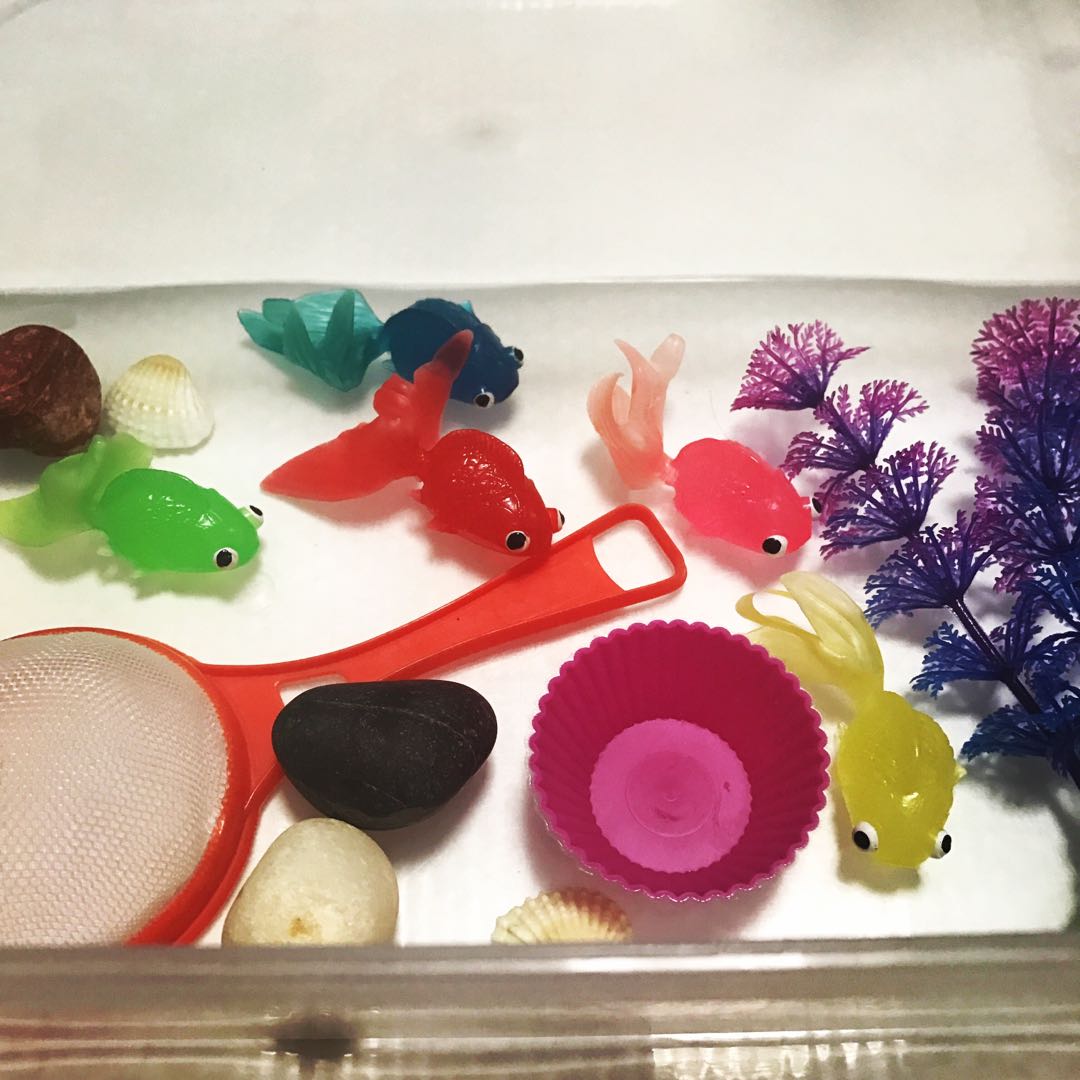 Goldfish in Aquarium Sensory Play, Babies & Kids, Infant Playtime on ...