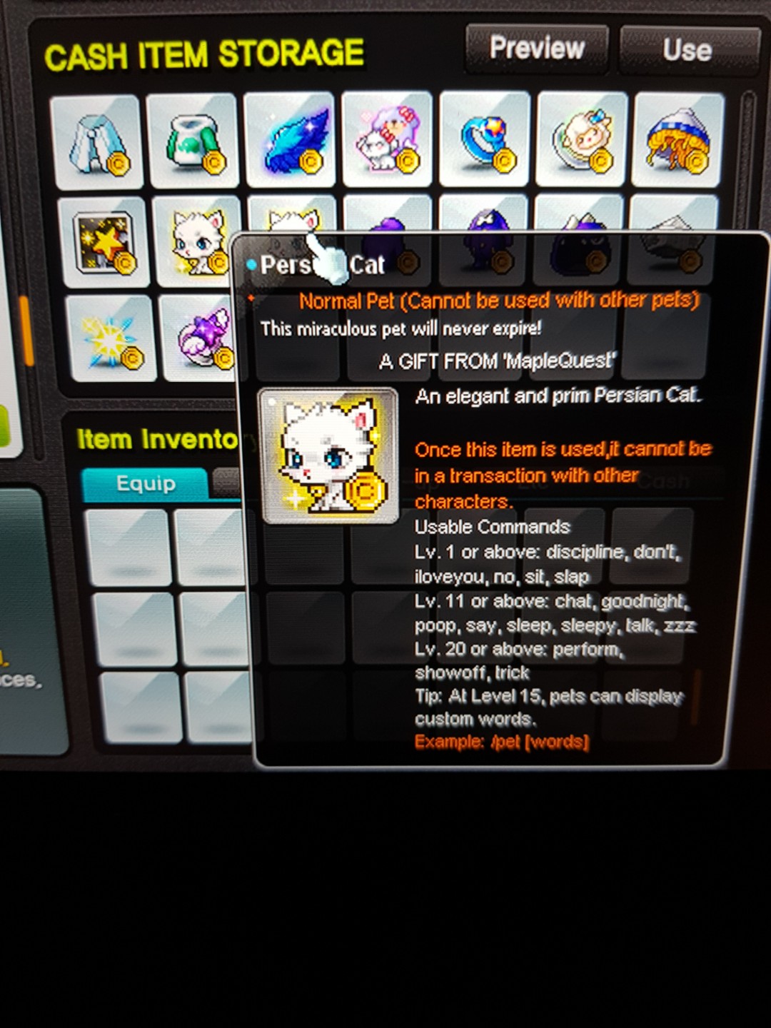 MapleSEA Aquila, Perm Pet (Persian Cat), Video Gaming, Video Game ...