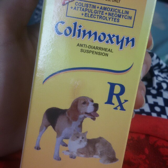 Pet's Anti-Diarrheal Suspension (Calimoxyn), Pet Supplies, Health ...