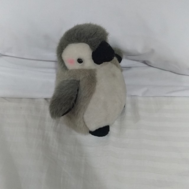 Cute Baby Penguin Stuffed Toy Oceanpark, Babies & Kids, Infant Playtime ...