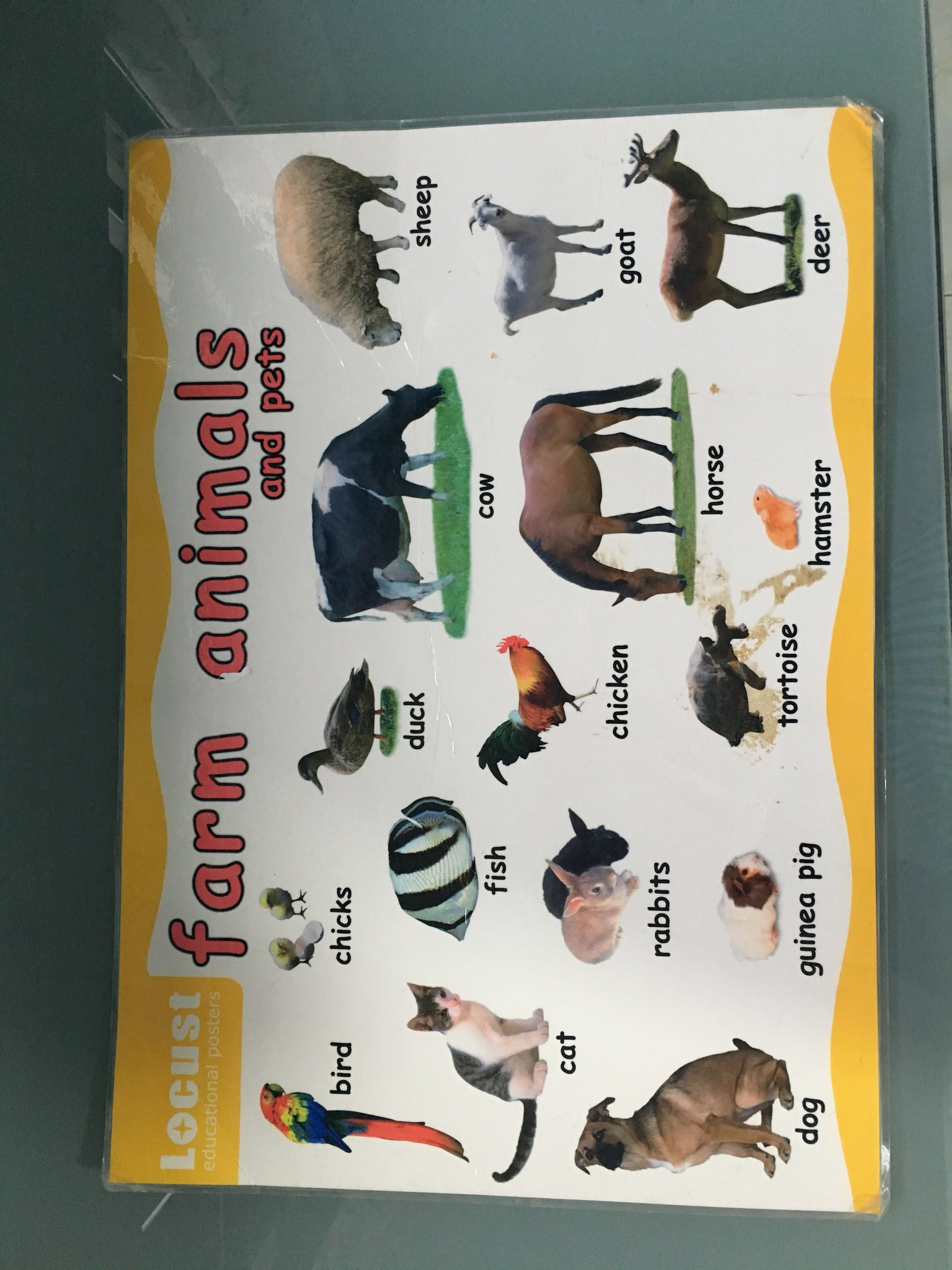 Farm animals poster, Babies & Kids, Babies & Kids Fashion on Carousell