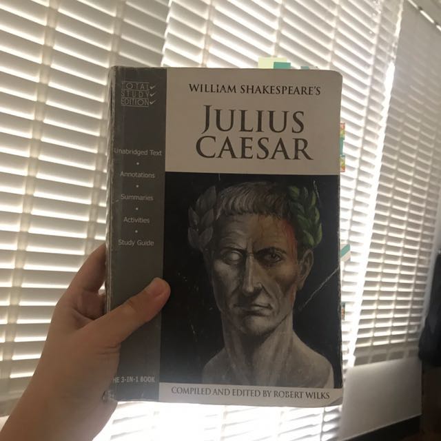 Julius Caesar Literature Study Guide, Hobbies & Toys, Books & Magazines ...