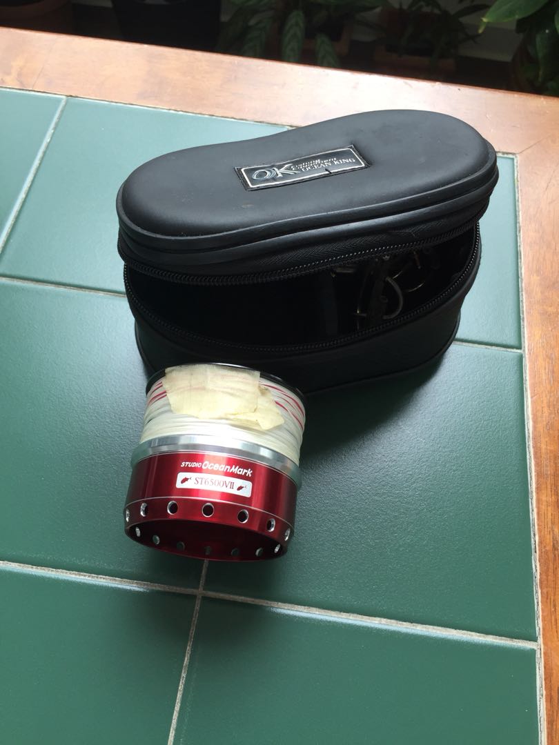 Saltiga Z6000 reel, Sports Equipment, Fishing on Carousell