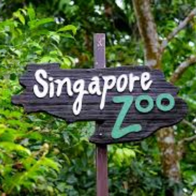 Zoo ticket and cash voucher x 2, Tickets & Vouchers, Local Attractions ...