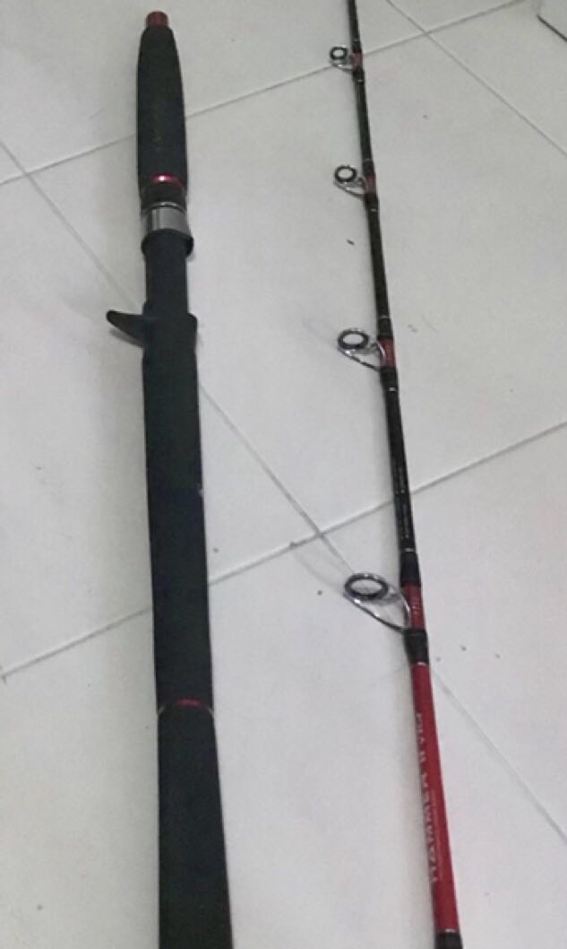 eupro Jigging Rod, Sports Equipment, Fishing on Carousell