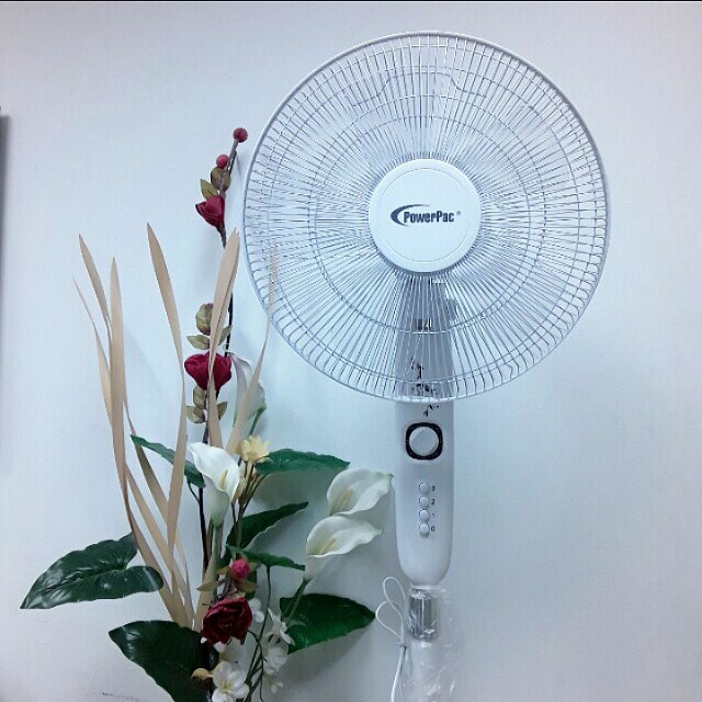 PowerPac 16" Stand Fan with Timer & Oscillation, TV & Home Appliances ...
