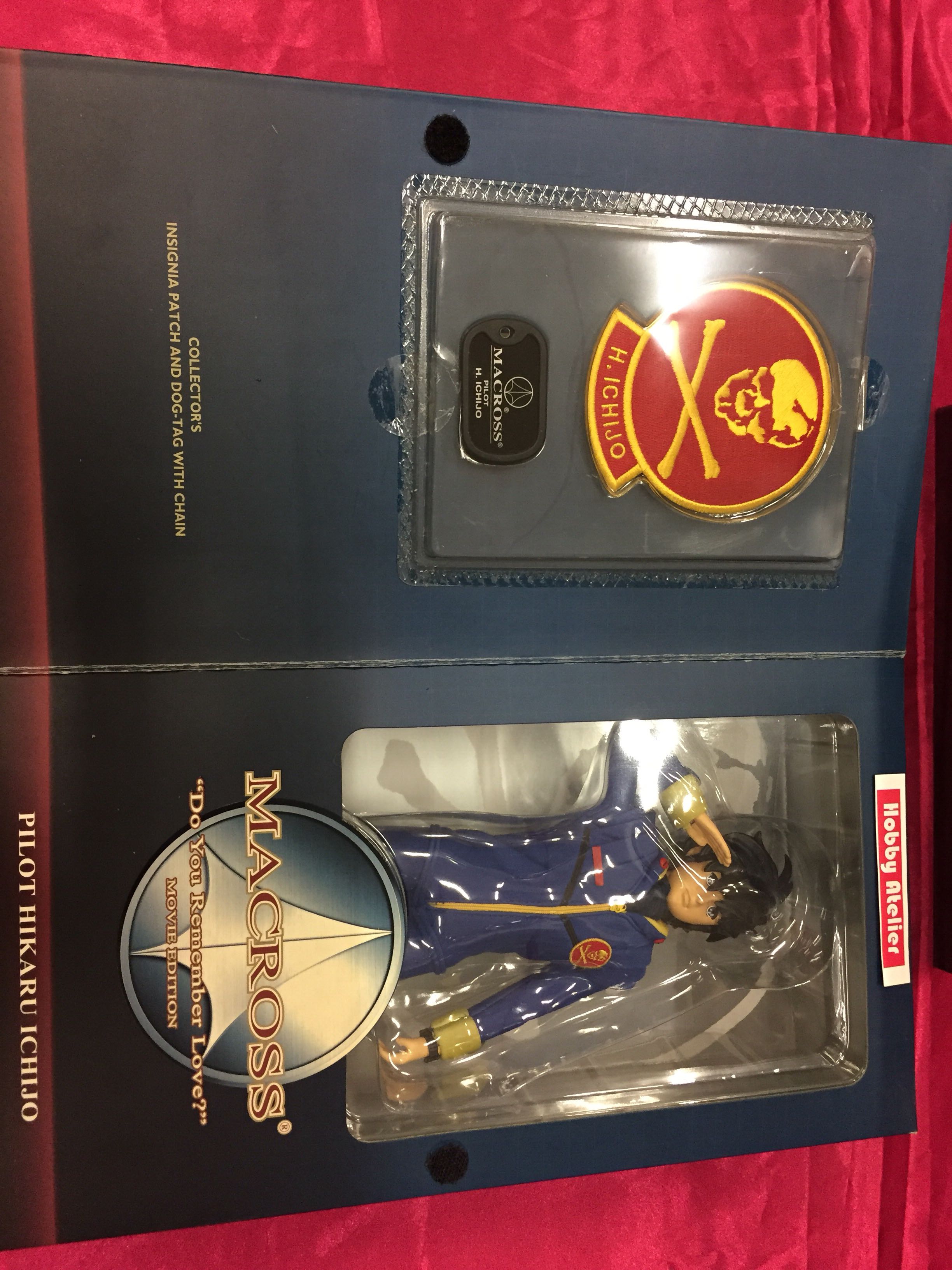 Macross 1/6 Scale Pilot Hikaru Ichijio Figure Limited Edition, Hobbies ...