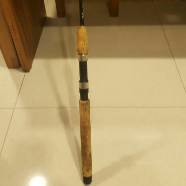 TALON SPINNING ROD, Sports Equipment, Fishing on Carousell