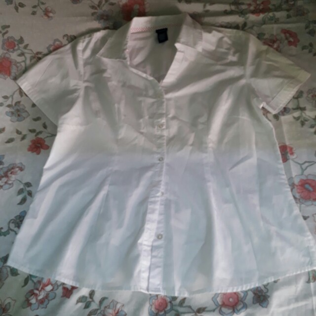 Basic Editions white blouse, Women's Fashion, Tops, Blouses on Carousell