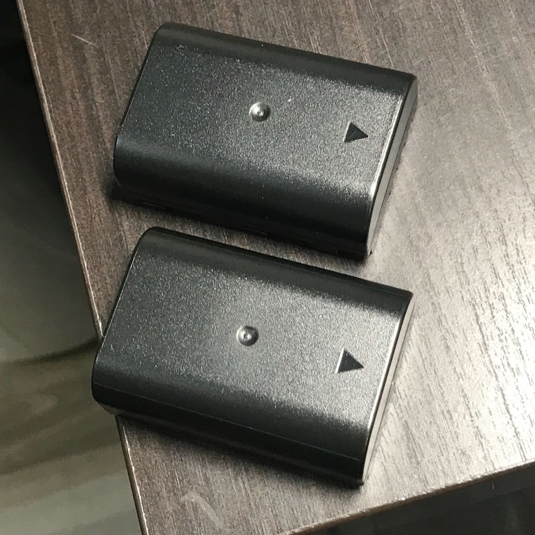 Panasonic GH5 / GH5S battery DMW-BLF19 and DMW-BLF19E, Photography ...