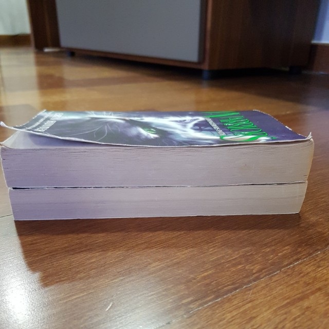 Warriors: Rising Storm, Warriors: A Dangerous Path, Hobbies & Toys ...