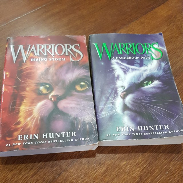 Warriors: Rising Storm, Warriors: A Dangerous Path, Hobbies & Toys ...