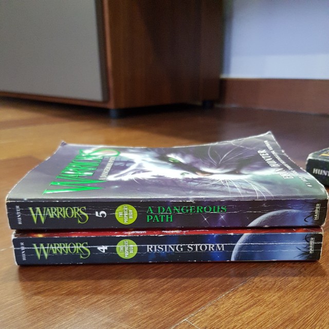 Warriors: Rising Storm, Warriors: A Dangerous Path, Hobbies & Toys ...