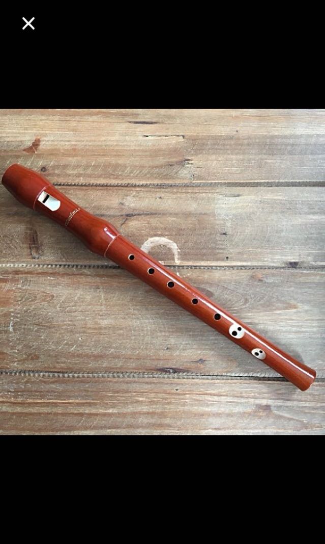 Vintage Musima Descant Recorder, Hobbies & Toys, Music & Media, Musical ...