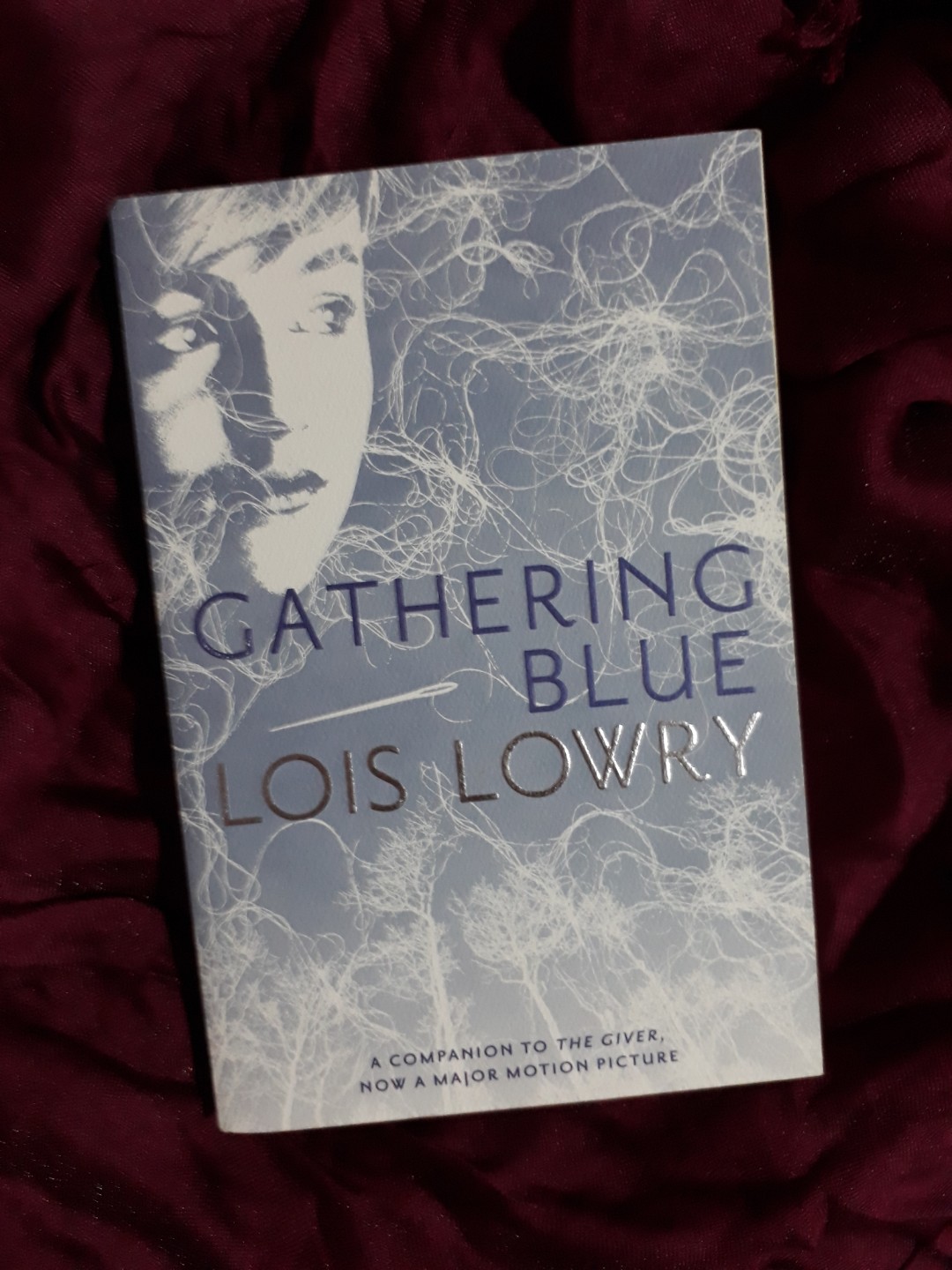 [Sci-Fi] Gathering Blue by Lois Lowry, Hobbies & Toys, Books ...