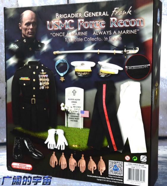 DID Toys Brigadier General Frank Force Recon USMC ( Dam Toys Soldier ...
