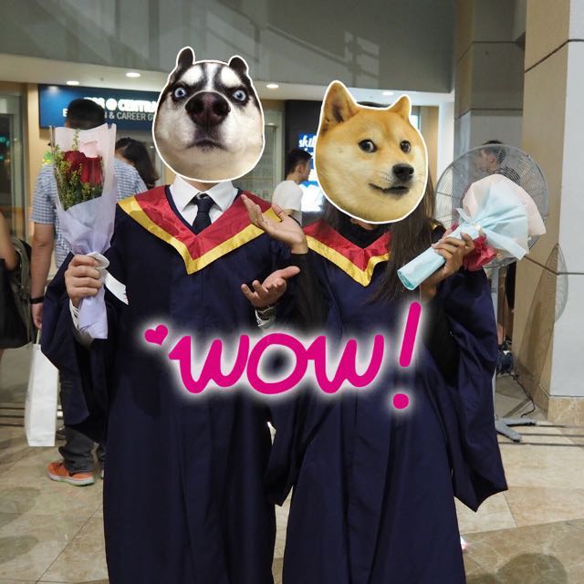 NYP Graduation gown (Rent), Everything Else on Carousell