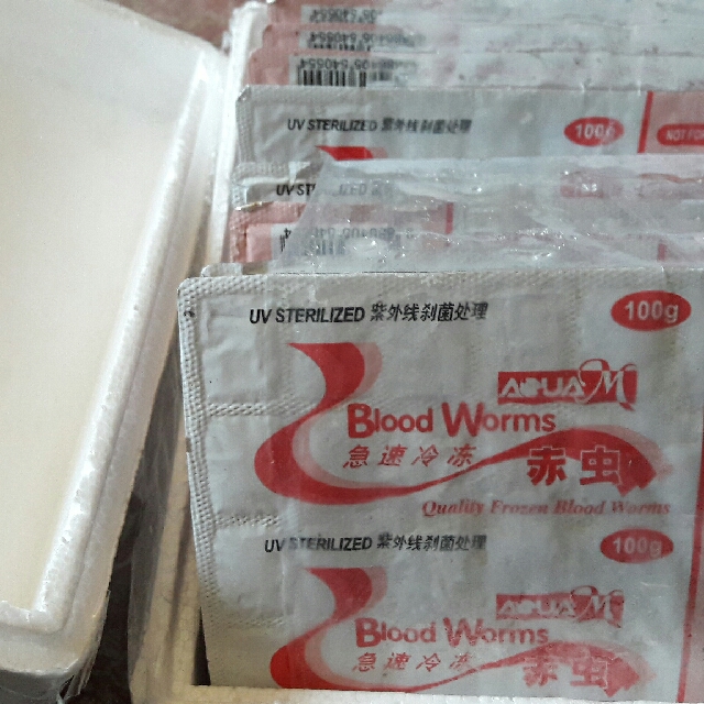 Quality Frozen Blood Worm, Pet Supplies, Pet Food on Carousell