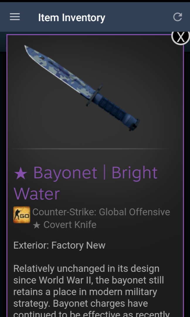 Bayonet Bright water FN, Video Gaming, Video Game Consoles, Others on ...