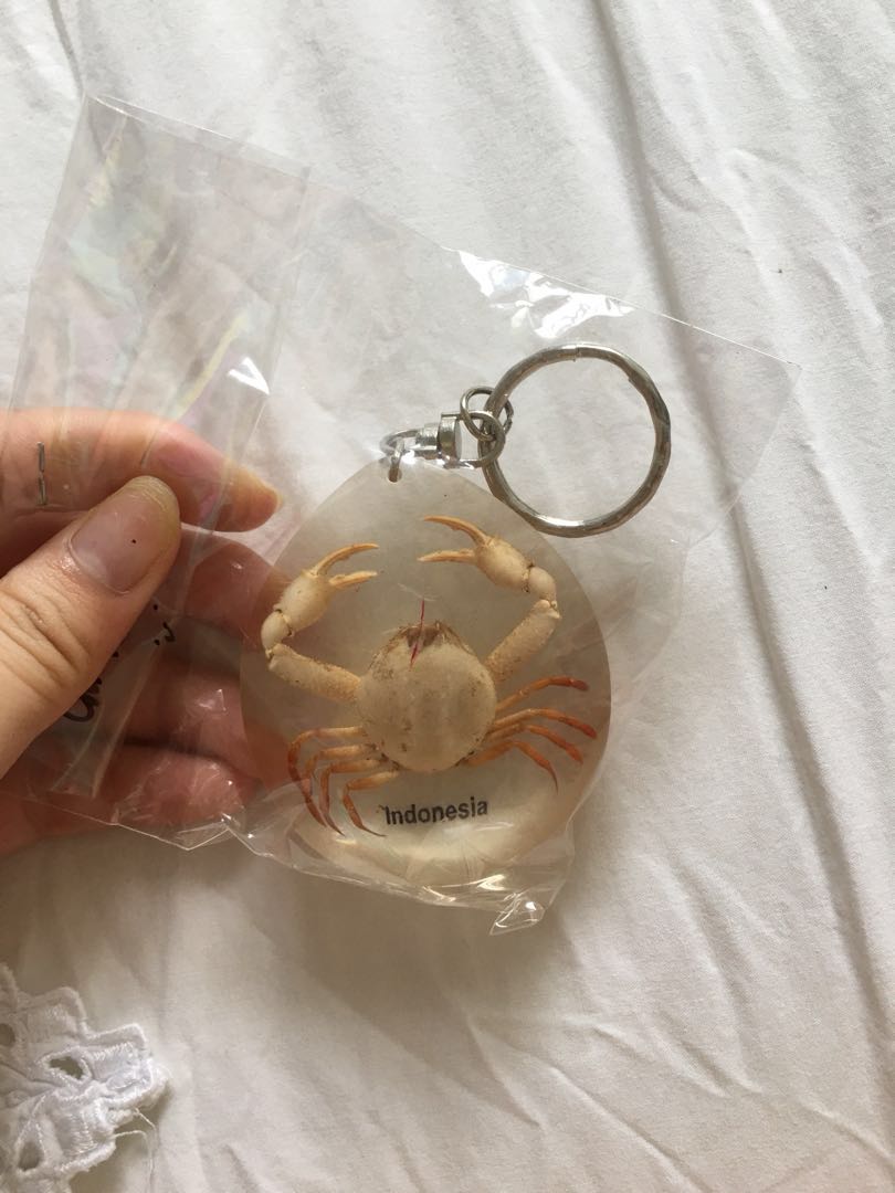 LIMITED EDITION CRAB TAXIDERMY KEYCHAIN on Carousell