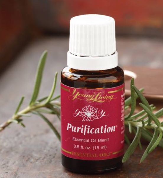 Purification essential oil blend young living, Beauty & Personal Care ...