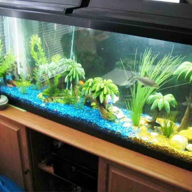 5 feet fish tank, Pet Supplies, Homes & Other Pet Accessories on Carousell