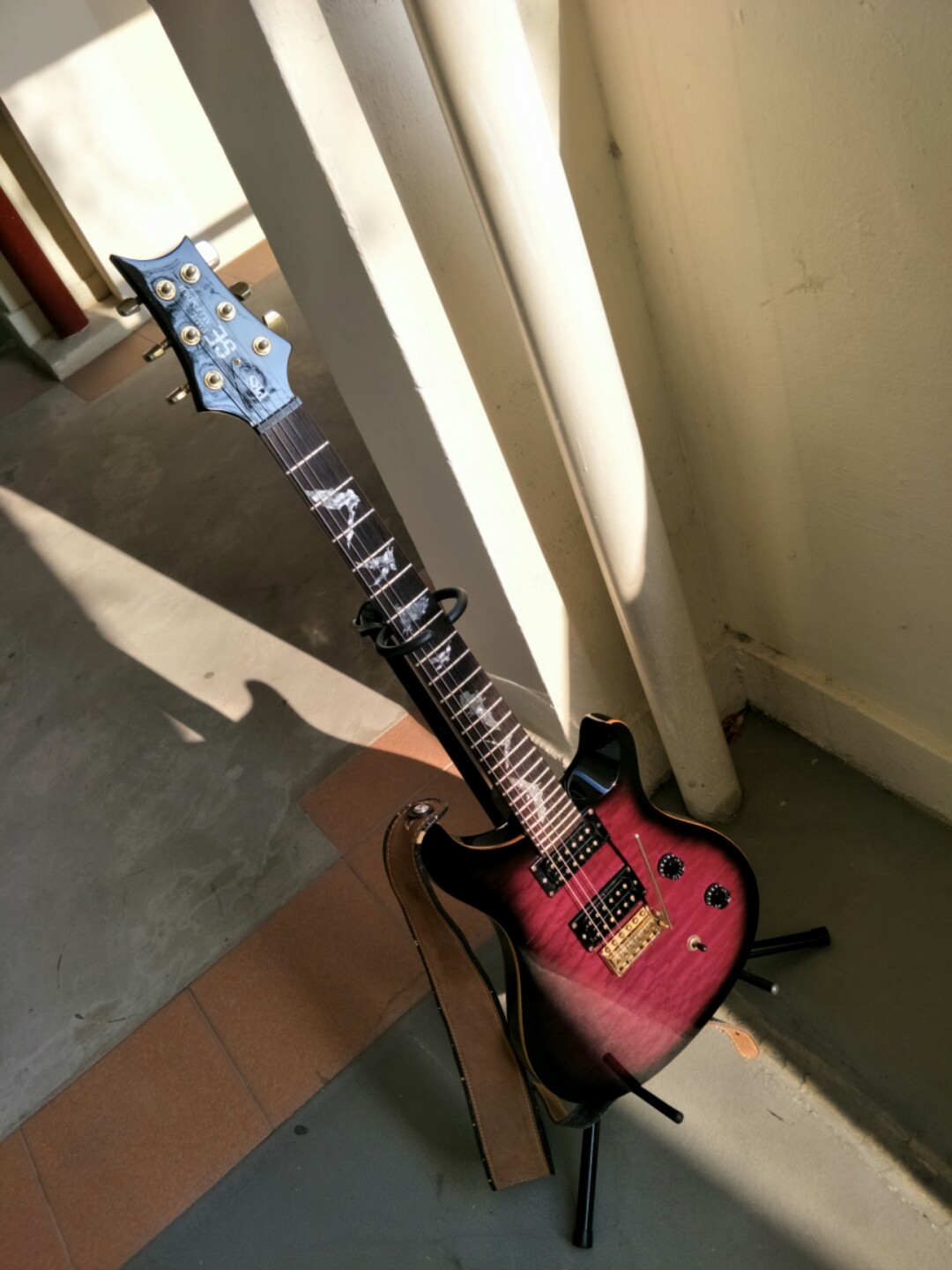 PRS SE Custom 24 Paul Allender Signature 2007 Edition, Electric Guitar ...