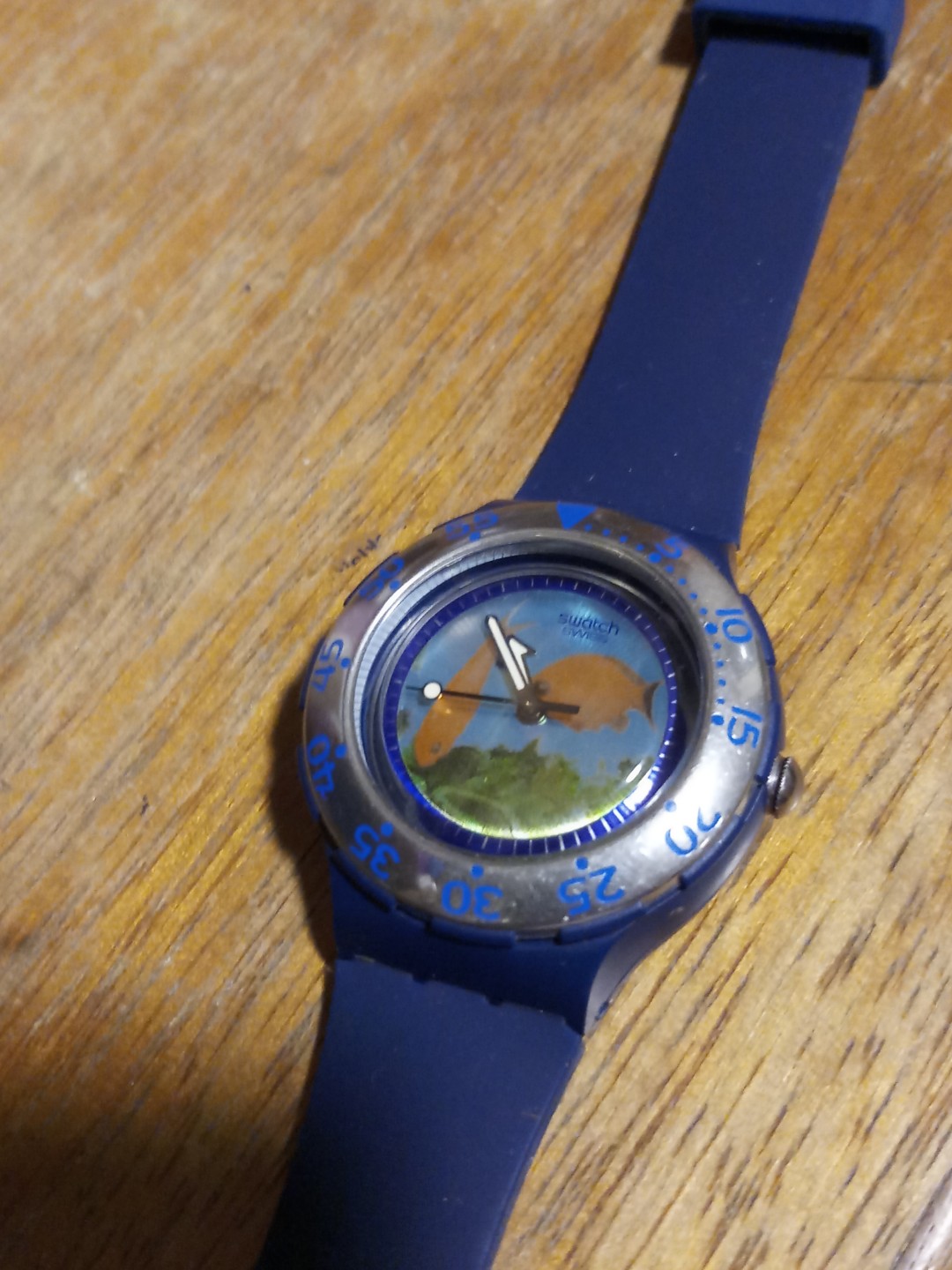 Swatch watch fish (New strap), Luxury, Watches on Carousell