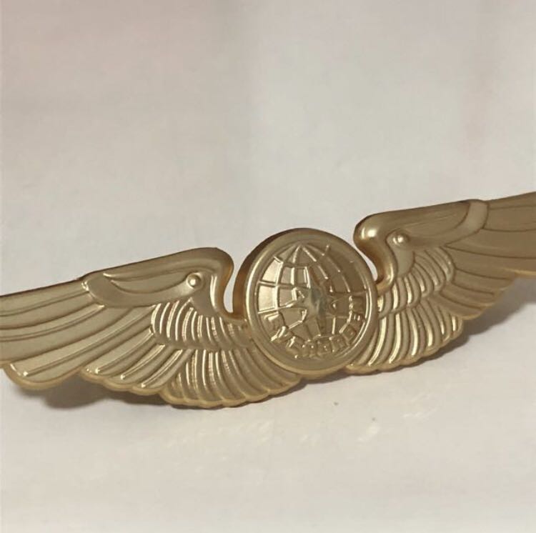 Eva air crew wing, Everything Else on Carousell