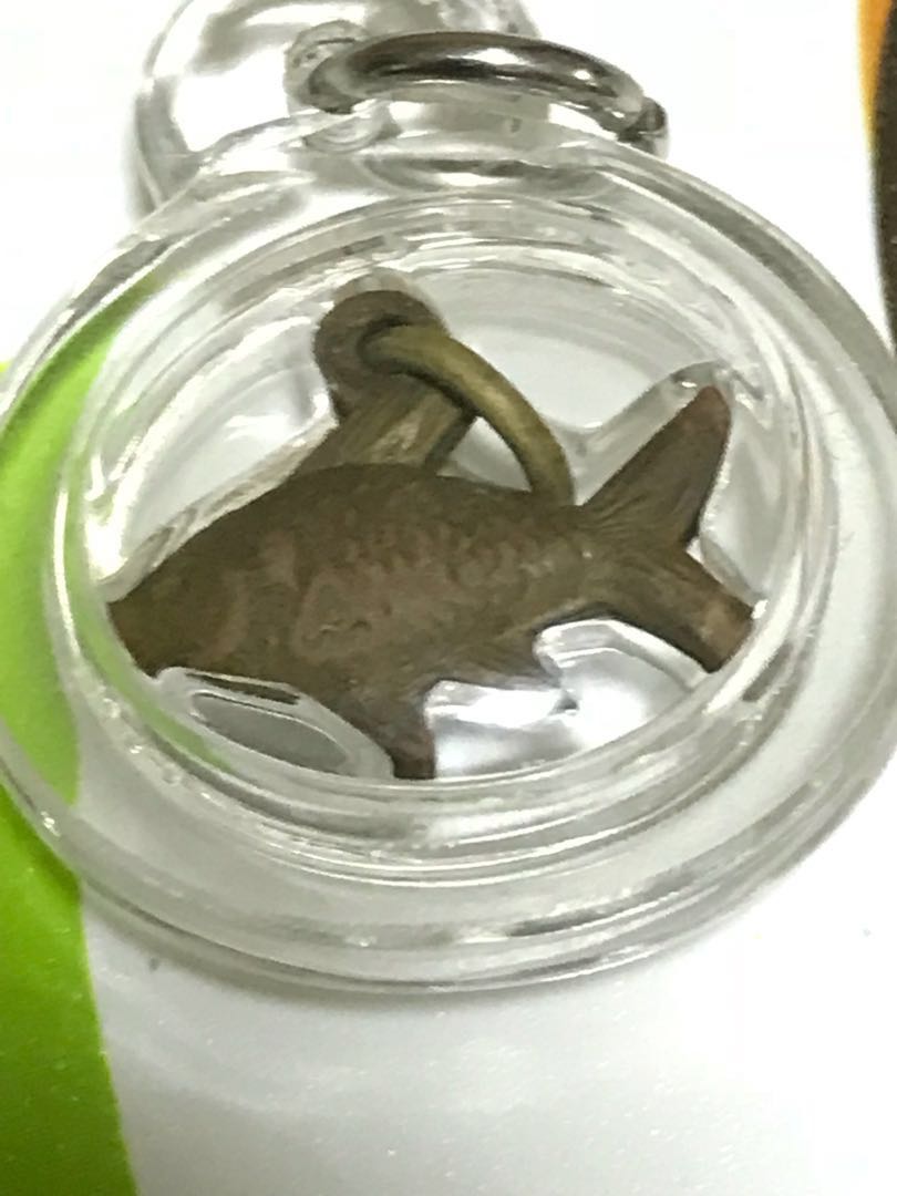 LP Jong TaPian Wealth fetching fish 2485, Hobbies & Toys, Memorabilia ...