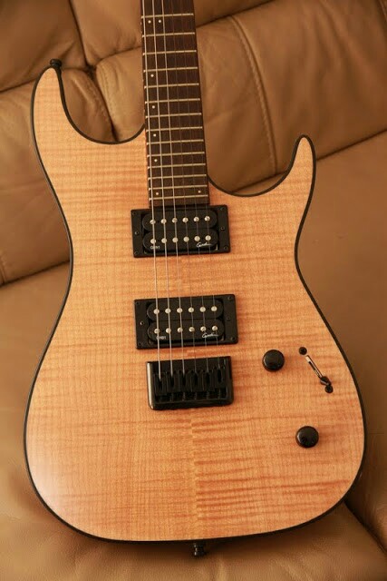 (Tell me ur price) godin redline flame(sign by AG coco), Hobbies & Toys ...