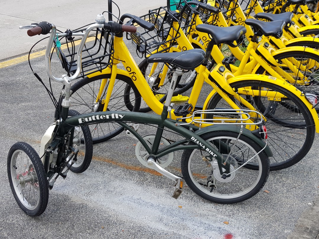 Korean butterfly / tri wheel bike / 6 speed shimano, Sports Equipment ...