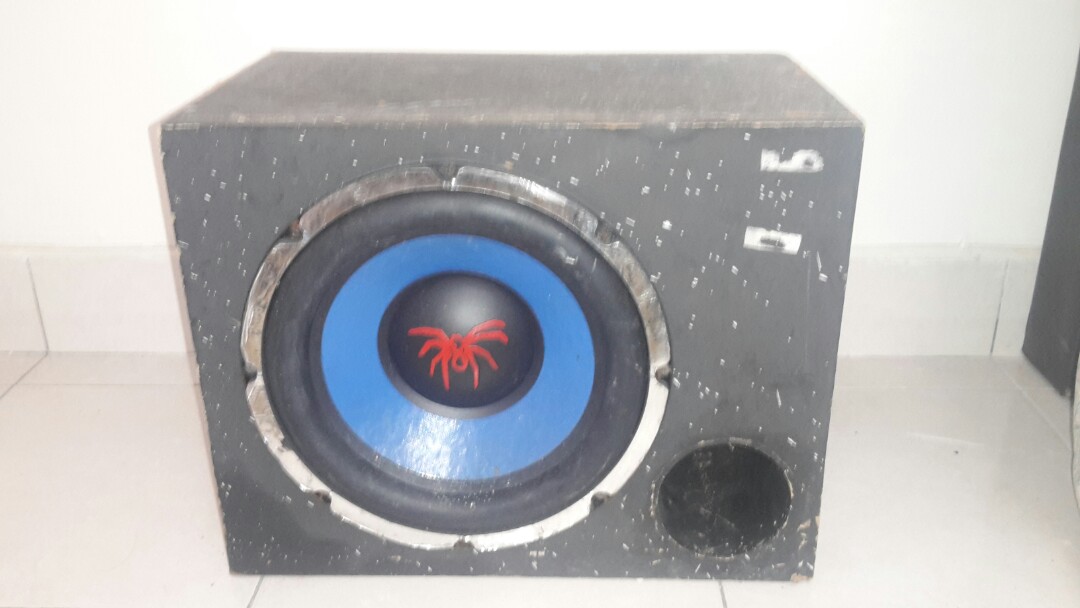 Subwoofer With Spider Logo Spiders – PSI Car Audio