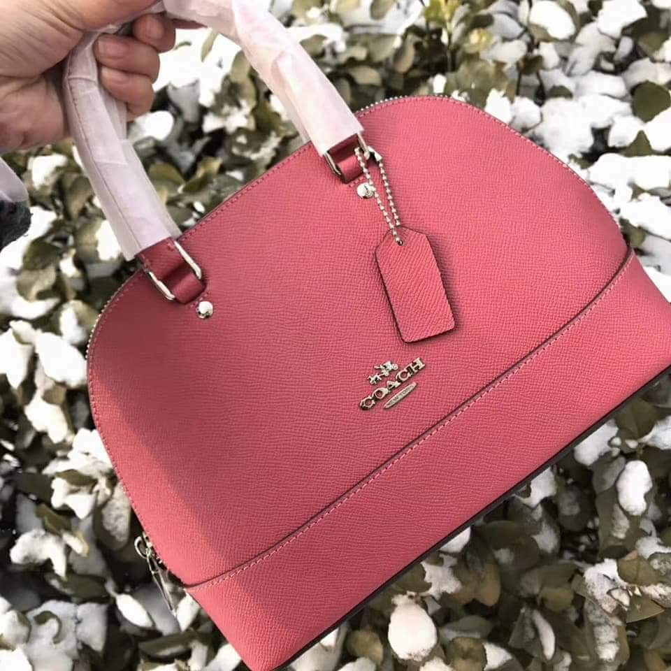 Coach F57555 seashell handbag (S), Luxury, Bags & Wallets on Carousell