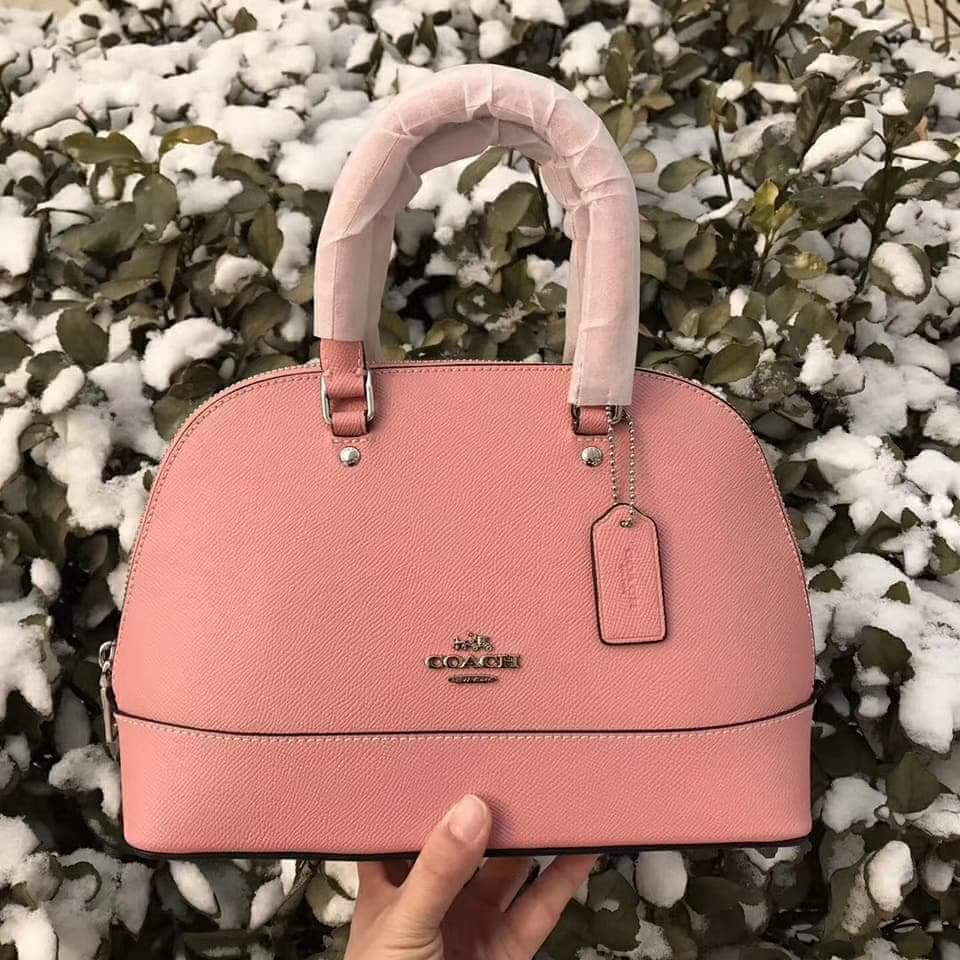 Coach F57555 seashell handbag (S), Luxury, Bags & Wallets on Carousell