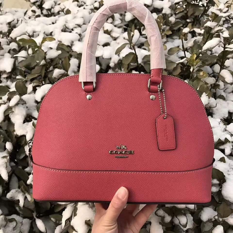 Coach F57555 seashell handbag (S), Luxury, Bags & Wallets on Carousell