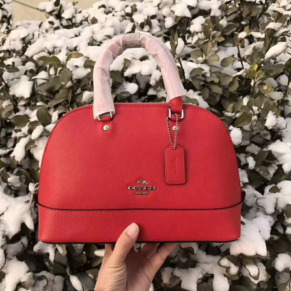 Coach F57555 seashell handbag (S), Luxury, Bags & Wallets on Carousell