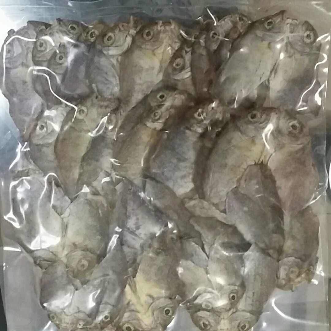 Danggit fresh from Cebu, Food & Drinks, Fresh Produce on Carousell