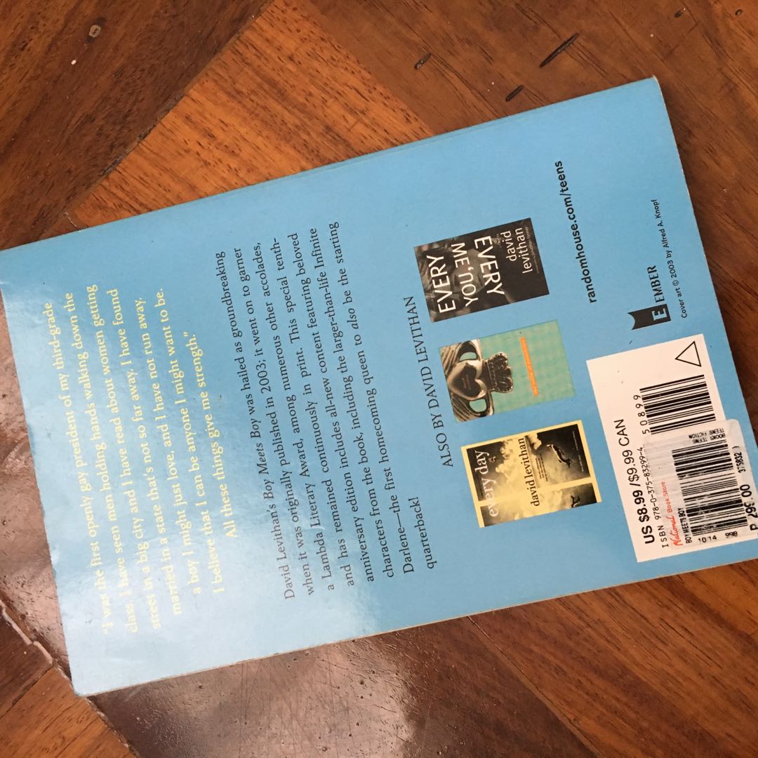 Boy Meets Boy by David Levithan, Hobbies & Toys, Books & Magazines ...