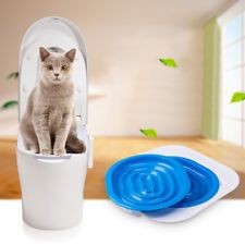 Cat potty training kit, Pet Supplies, Homes & Other Pet Accessories on ...