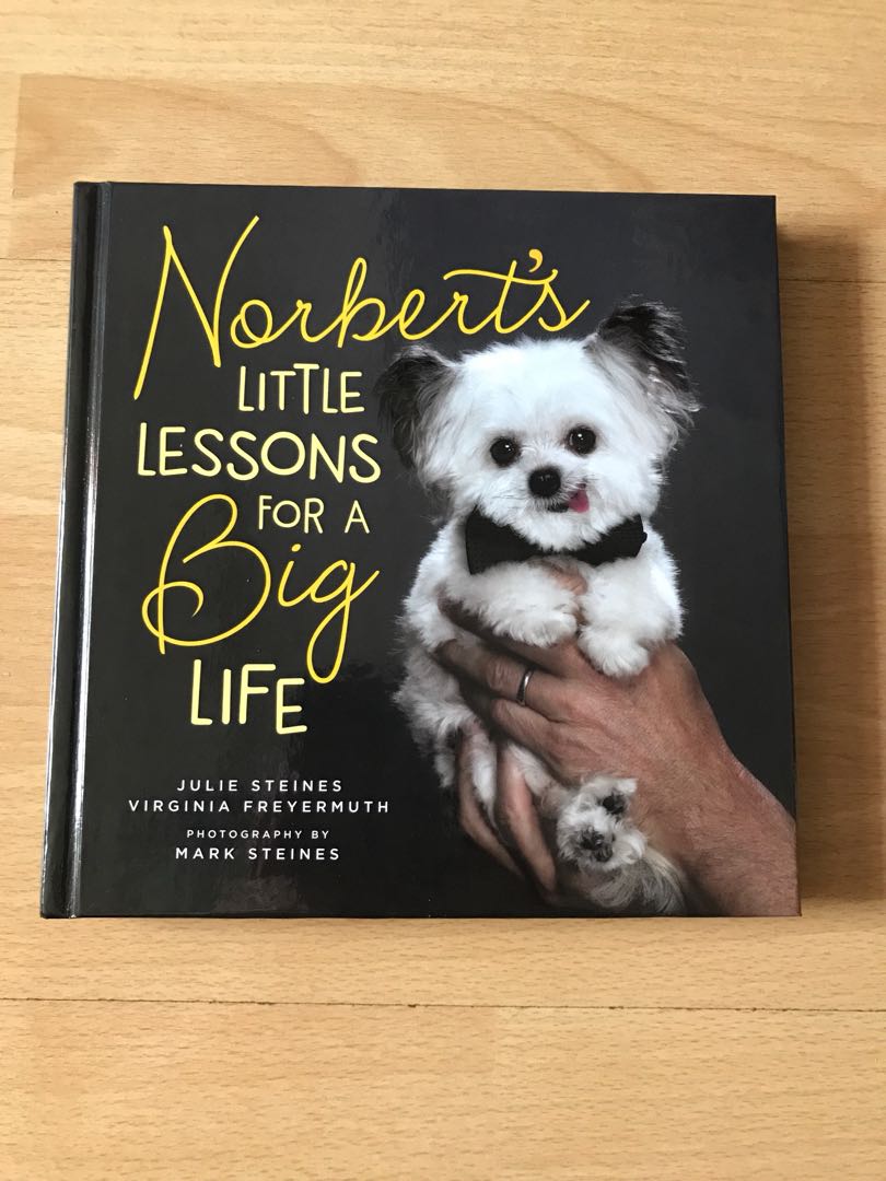 Norbert’s Little Lessons for a Big Life, Hobbies & Toys, Books ...