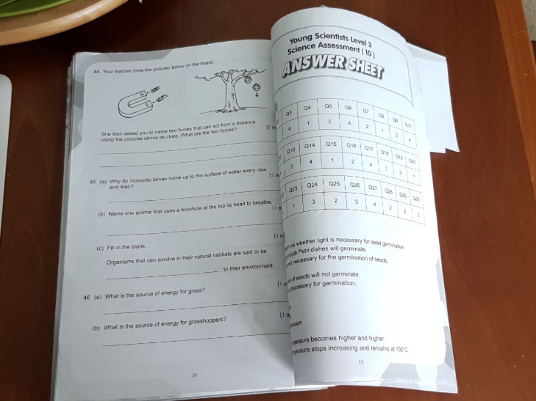 Young Scientists: Science Assessment/Worksheets with Answer Sheets ...