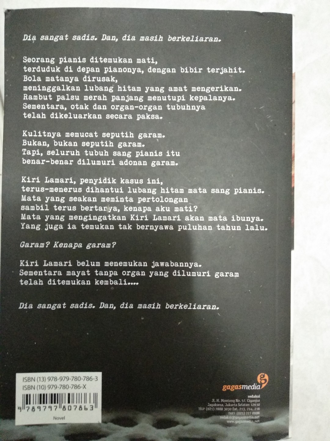 Novel Misteri Patung Garam, Buku & Alat Tulis, Buku di Carousell