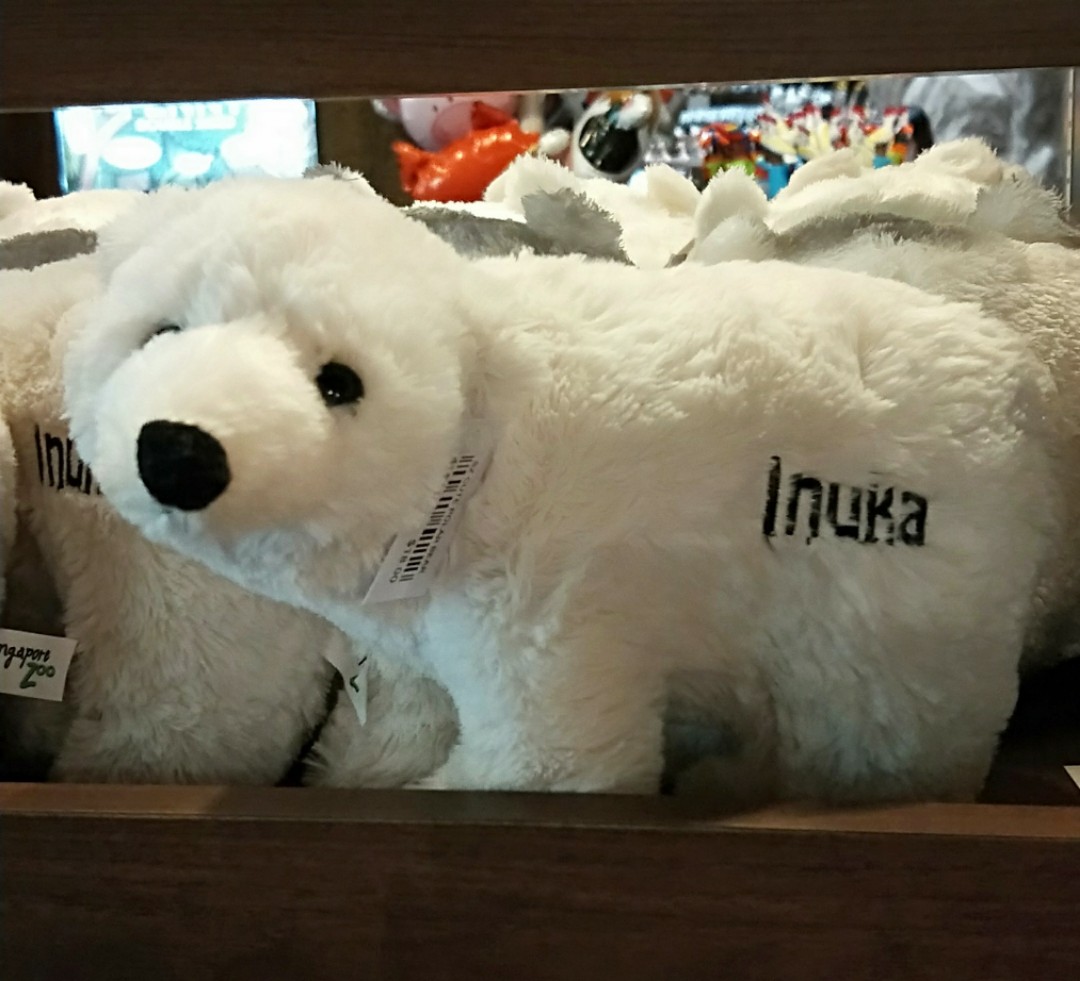 Inuka Polar Bear Plush from Singapore Zoo, Hobbies & Toys, Toys & Games ...