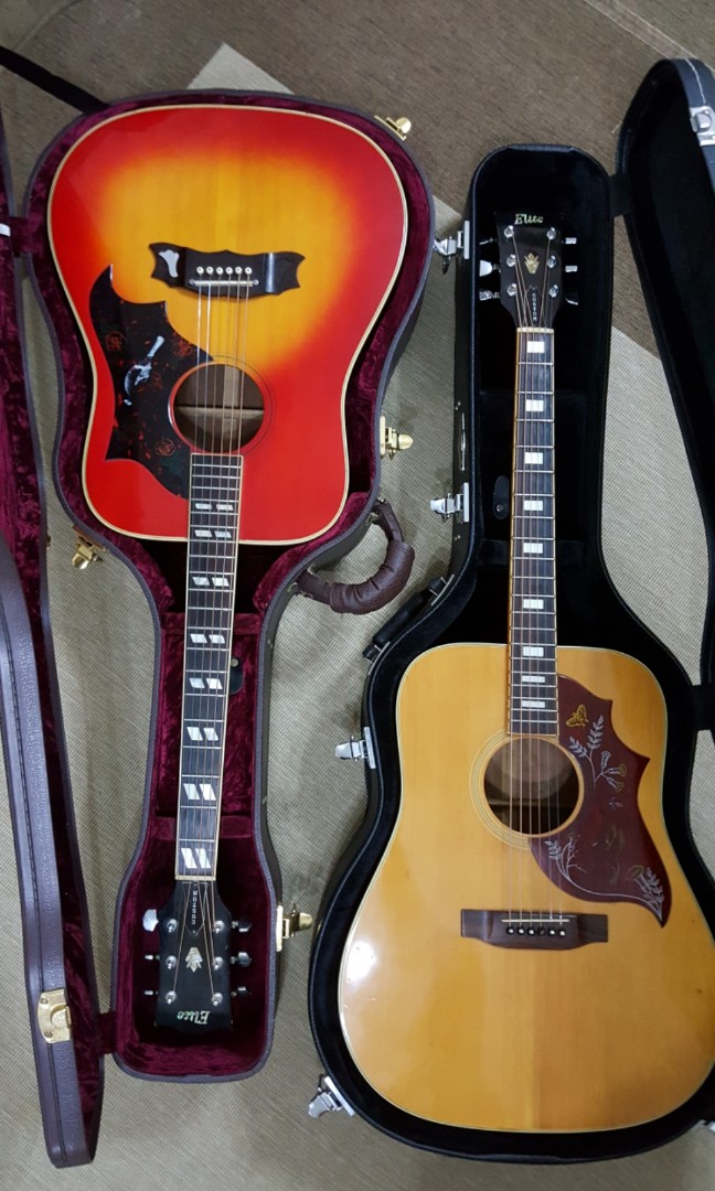 1974 Elite Takamine "Dove" Model HM-30, Hobbies & Toys, Music & Media, Musical Instruments on ...