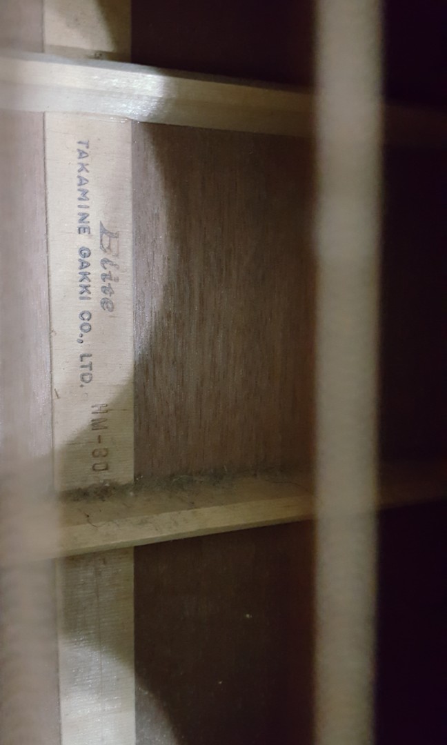 1974 Elite Takamine "Dove" Model HM-30, Hobbies & Toys, Music & Media, Musical Instruments on ...