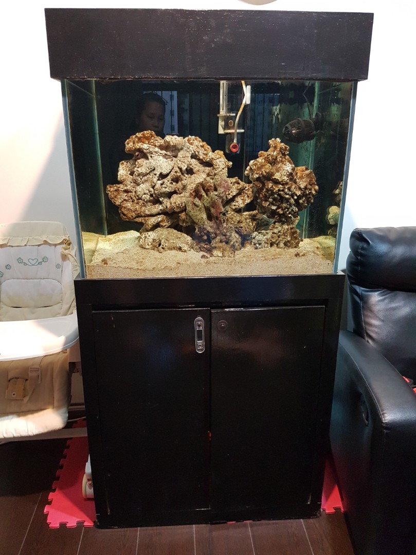 2ft Fish Tank With Cabinet, Pet Supplies, Homes & Other Pet Accessories ...