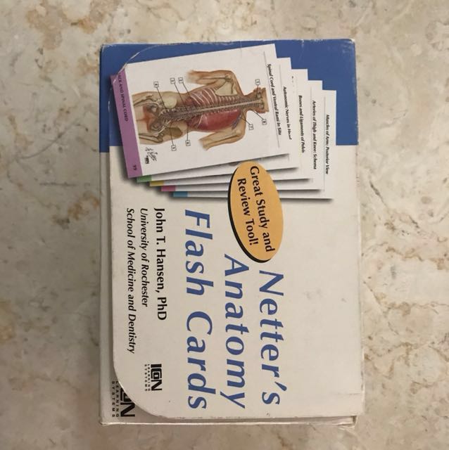 Netter’s Anatomy Flash Cards, Hobbies & Toys, Books & Magazines ...