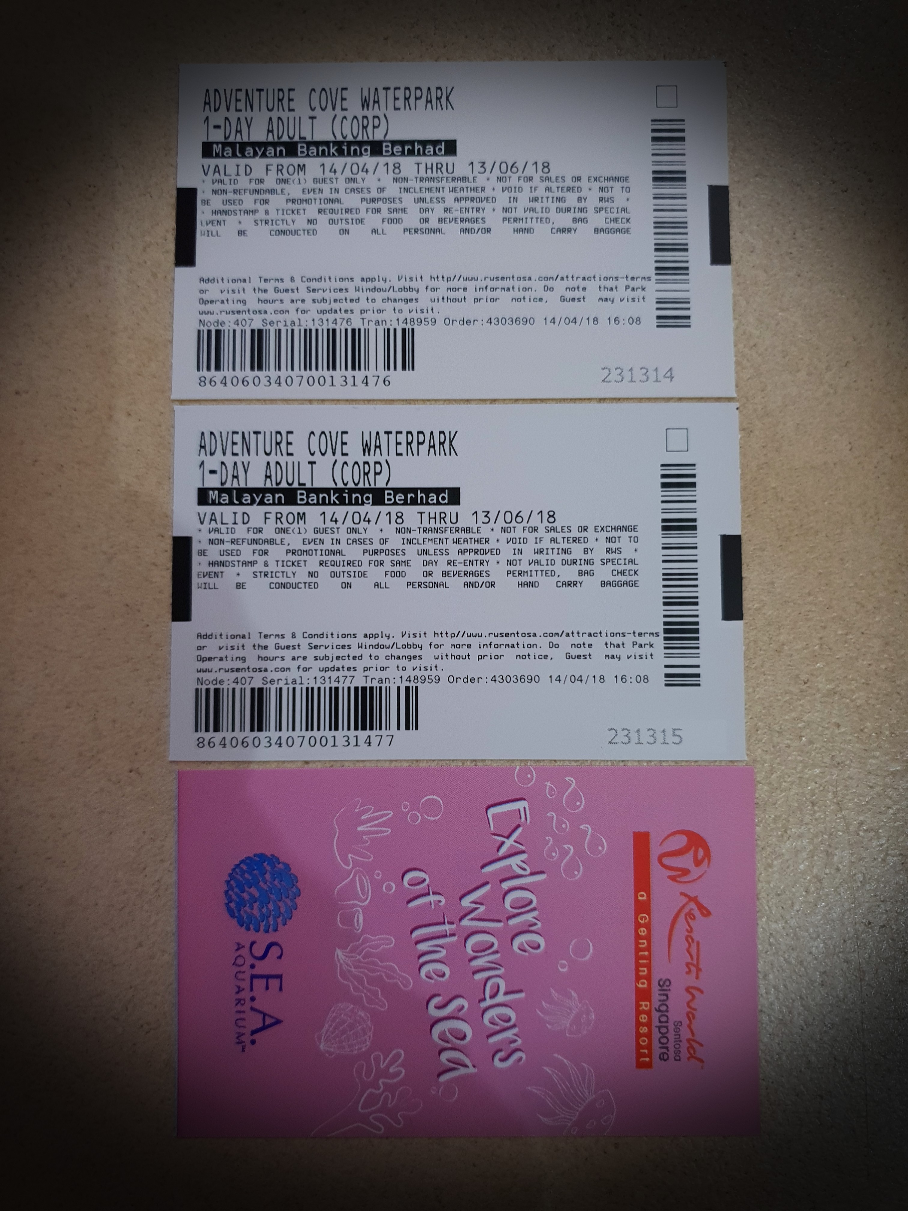 Adventure Cove Waterpark @RWS, Tickets & Vouchers, Local Attractions ...